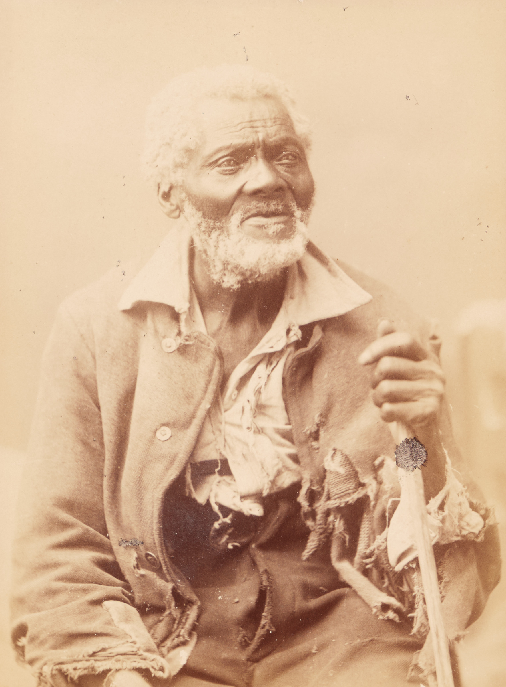 On the Shady Side - High Museum of Art